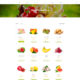 Organic – Farm, Garden and Agriculture HTML Template